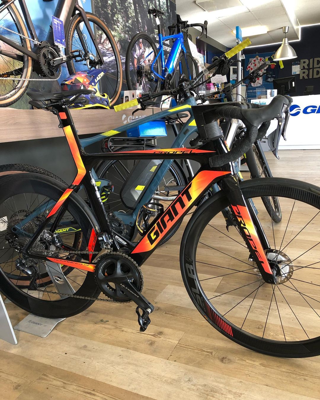 Velo giant, ce que vous devez savoir